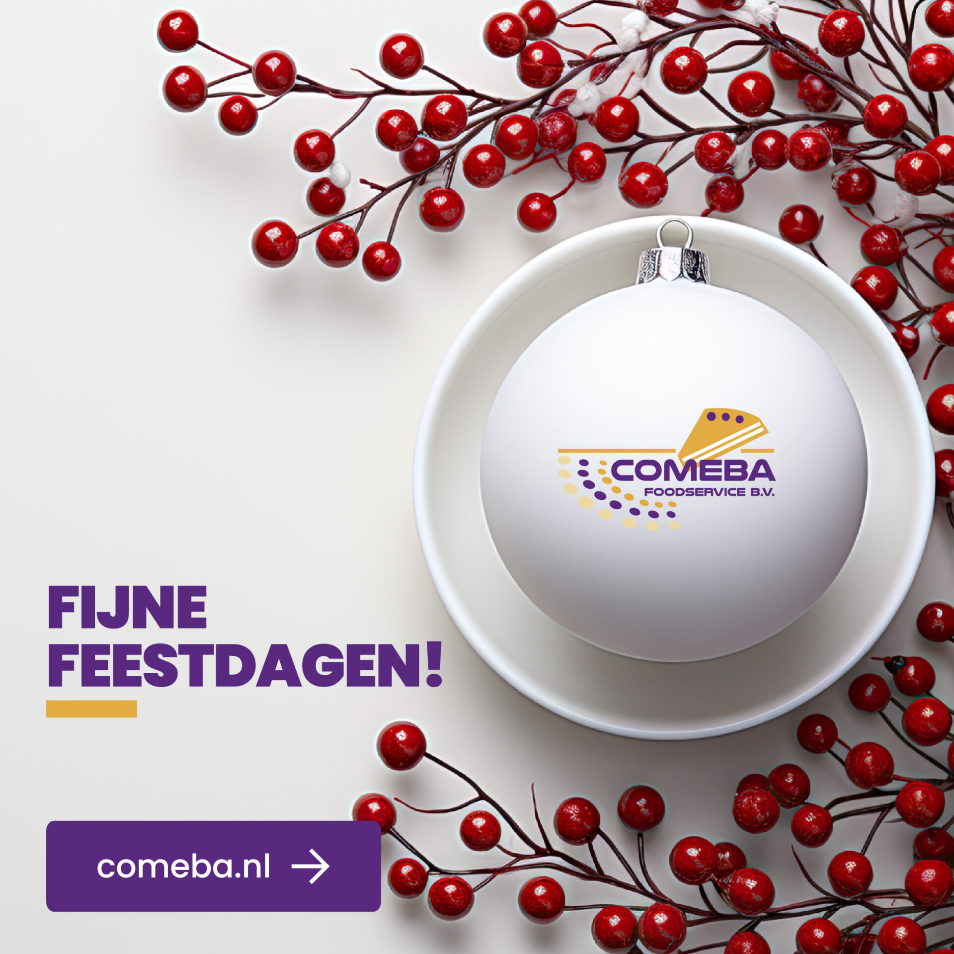 Fijne feestdagen! - Comeba